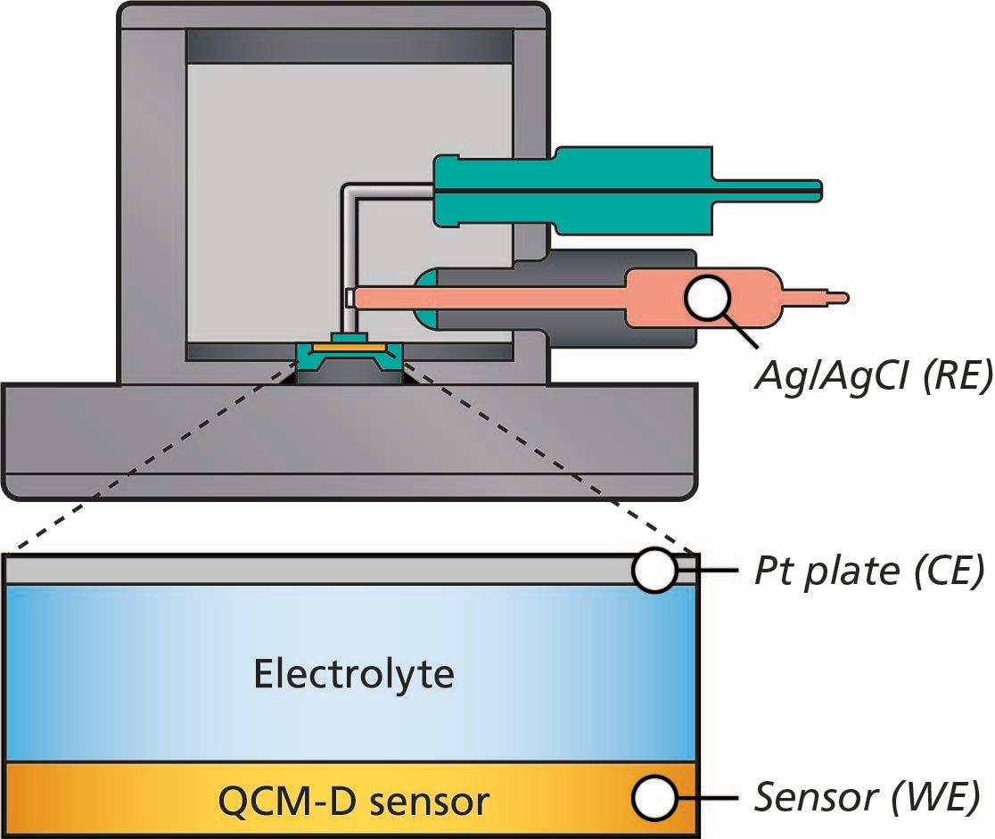 EQCM and EQCM-D | Measurements | Biolin Scientific